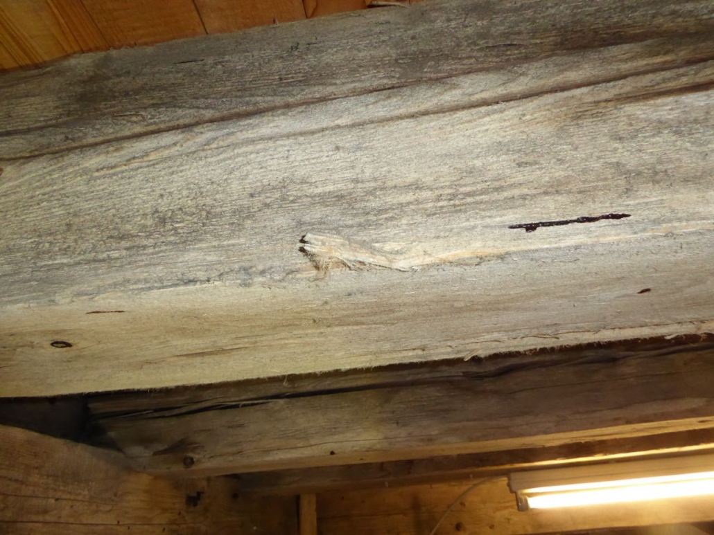 Mazeration von Holz - monumentconsult.de